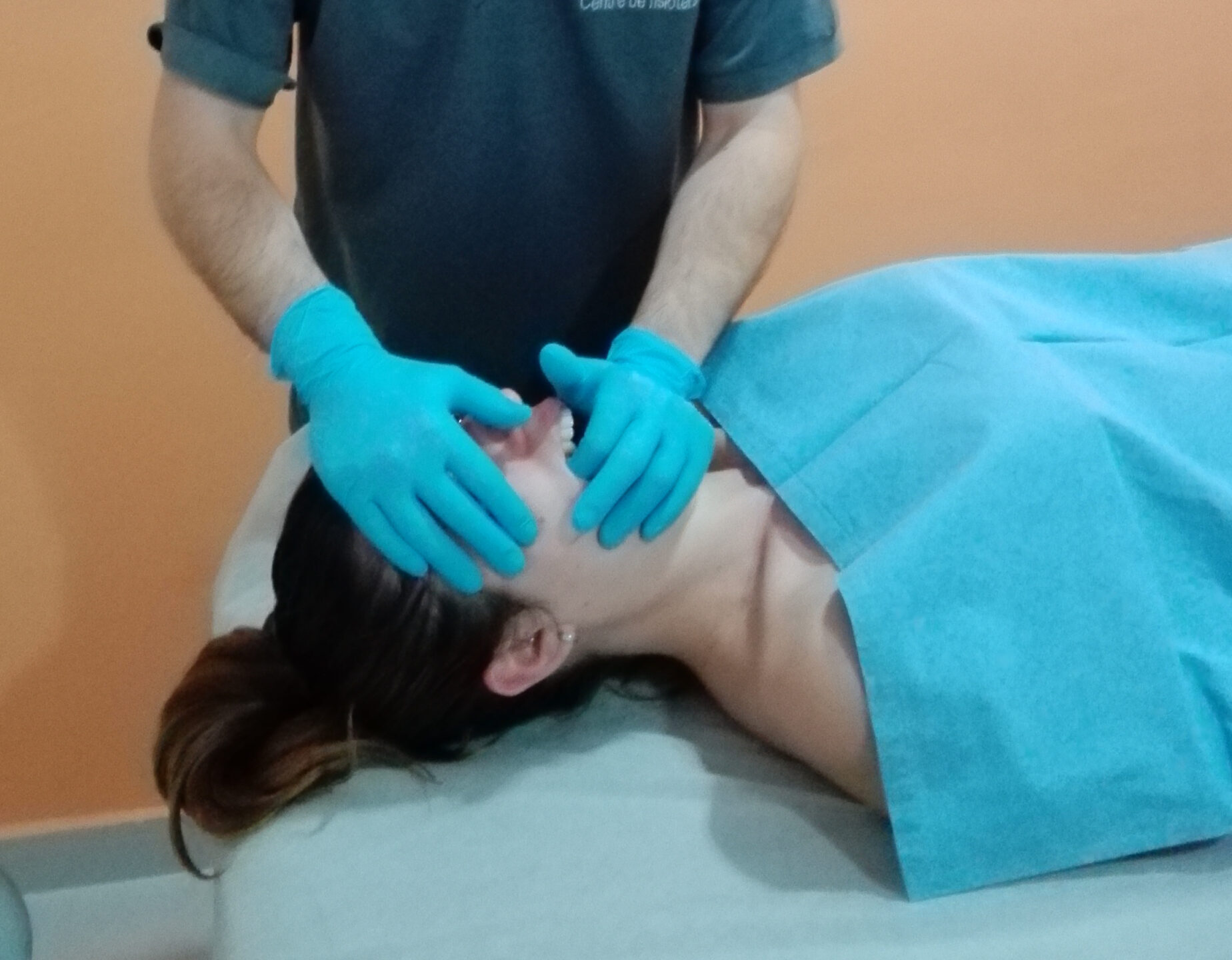 Articulación Temporo-mandibular – Vertebres